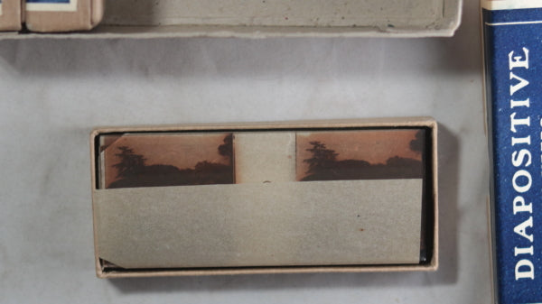 stereoscopic slides