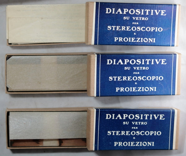 stereoscopic slides
